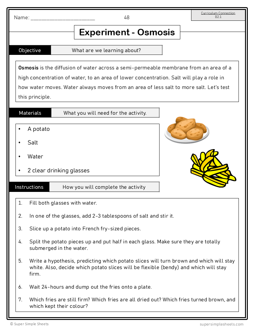 Ontario Grade 10 Applied Science Curriculum - STEM - Full Year Bundle ...