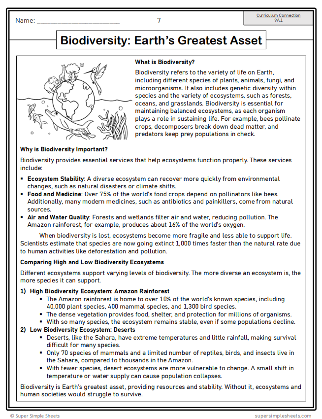 Grade 9 - Alberta Science - FULL YEAR BUNDLE – Super Simple Sheets