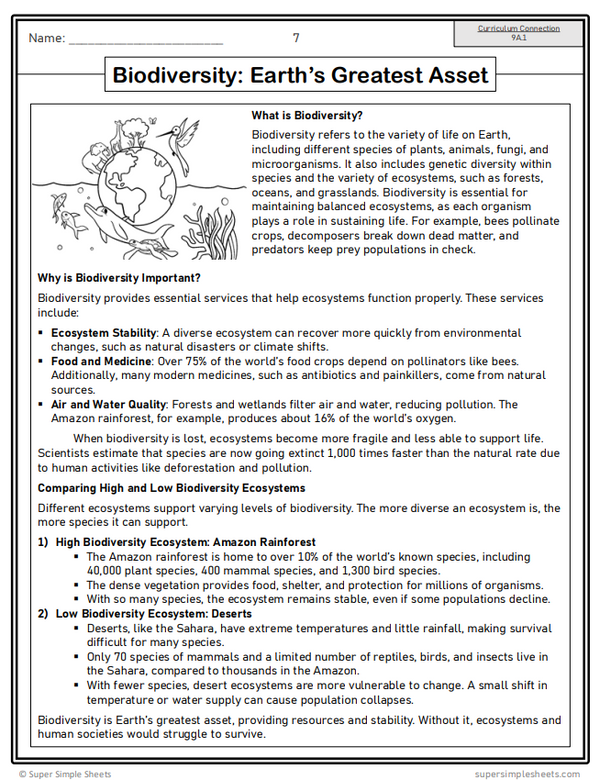 Grade 9 - Alberta Science - FULL YEAR BUNDLE – Super Simple Sheets