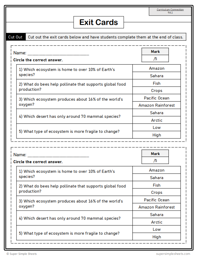 Grade 9 - Alberta Science - FULL YEAR BUNDLE – Super Simple Sheets