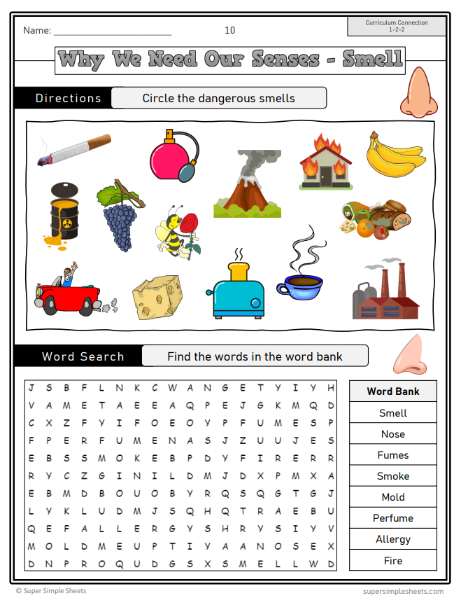 Science - Manitoba Grade 1 - FULL YEAR BUNDLE – Super Simple Sheets