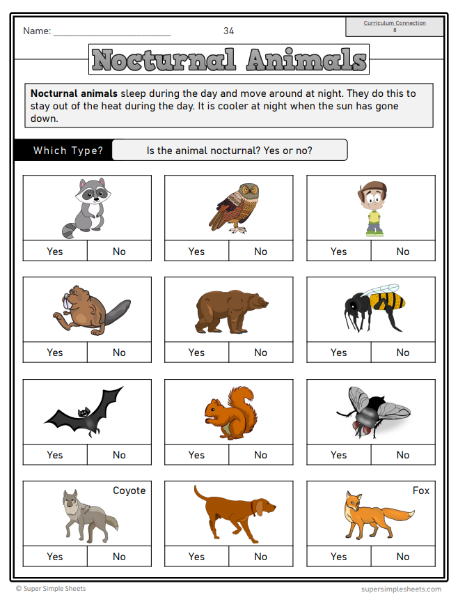 Science - Manitoba Grade 1 - FULL YEAR BUNDLE – Super Simple Sheets