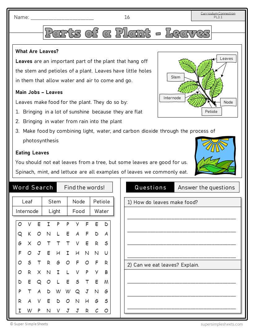 Grade 3 Science Worksheets Structures