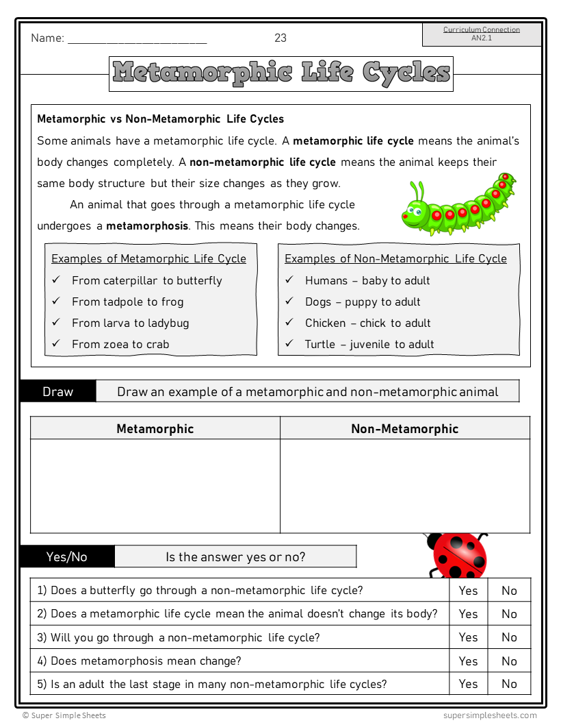 Saskatchewan Grade 2 Science - Full Year Bundle - GOOGLE/PDF INCLUDED ...