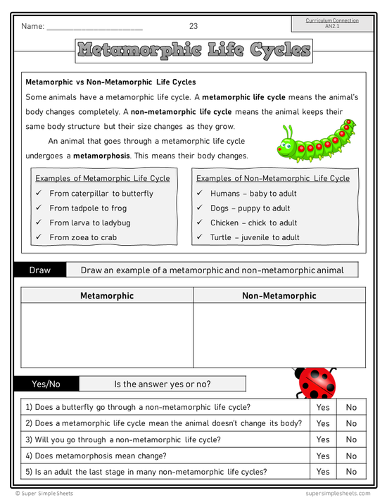 Saskatchewan Grade 2 Science - Full Year Bundle - GOOGLE/PDF INCLUDED ...