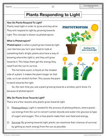 Science - Manitoba Grade 3 - Full Year Bundle - Clusters 1, 2, 3, 4 ...