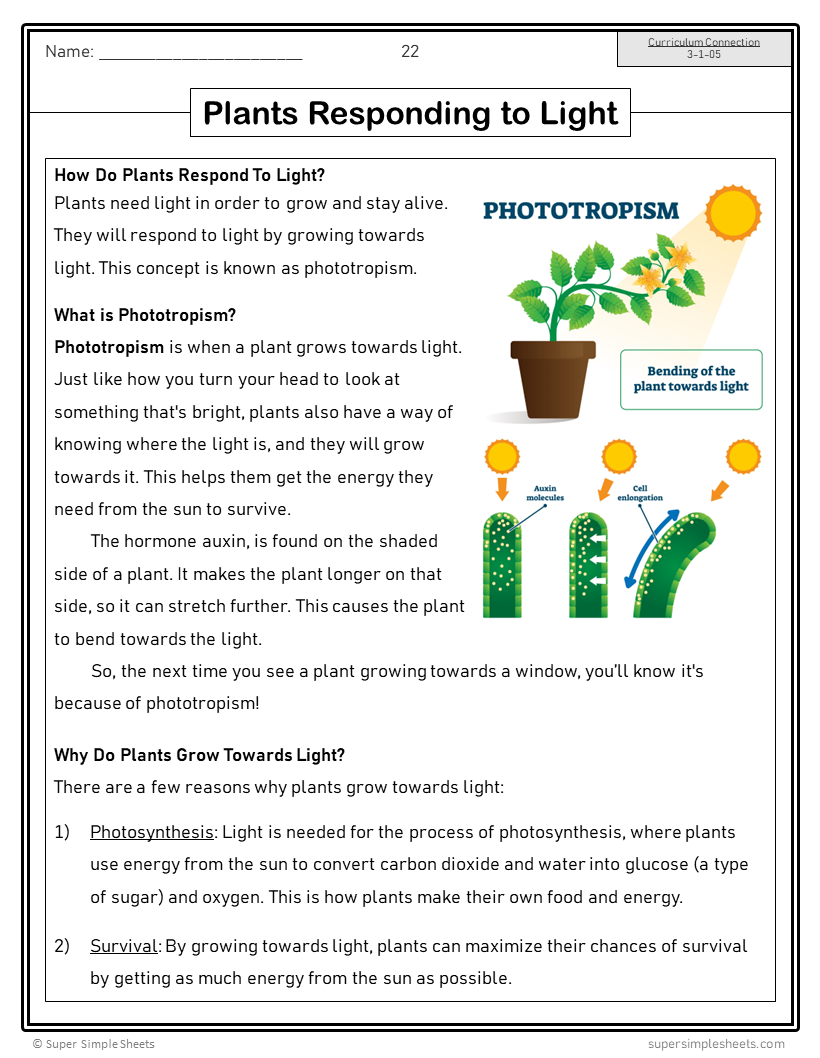 Science - Manitoba Grade 3 - Full Year Bundle - Clusters 1, 2, 3, 4 ...