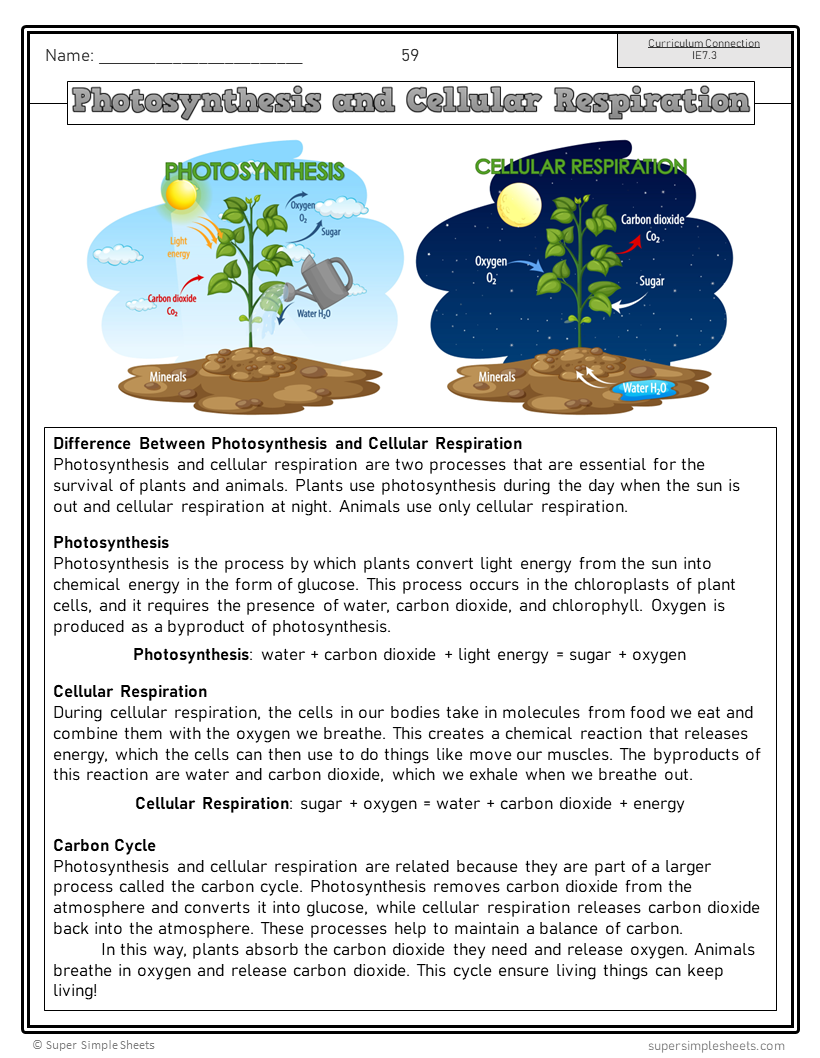 Saskatchewan Grade 7 Science - Full Year Bundle - GOOGLE/PDF INCLUDED ...