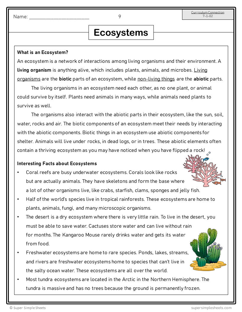 Science - Manitoba Grade 7 - FULL YEAR BUNDLE – Super Simple Sheets