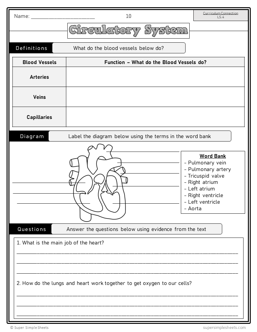 Science - Alberta Grade 5 - FULL YEAR BUNDLE – Super Simple Sheets