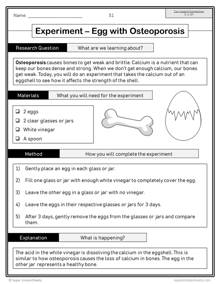 Science - Manitoba Grade 5 - Full Year Bundle - Clusters 1, 2, 3, 4 ...