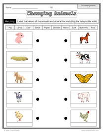Science - Manitoba Grade 2 - FULL YEAR BUNDLE – Super Simple Sheets