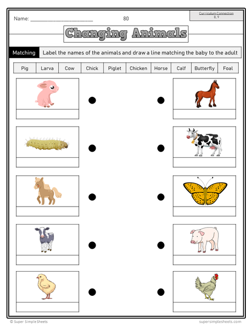 Science - Manitoba Grade 2 - FULL YEAR BUNDLE – Super Simple Sheets