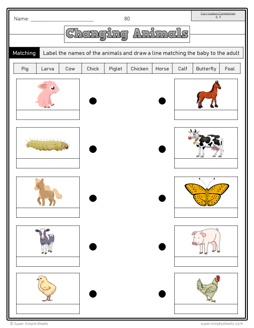 Science - Manitoba Grade 2 - FULL YEAR BUNDLE – Super Simple Sheets