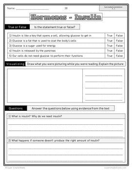 BC Grade 6 Science Full Year Bundle – Super Simple Sheets