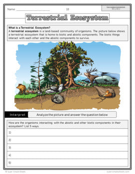 NEW 2022 CURRICULUM! Ontario Grade 7 Science - Full Year Bundle - GOOG ...