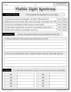 Science - Manitoba Grade 8 - FULL YEAR BUNDLE – Super Simple Sheets