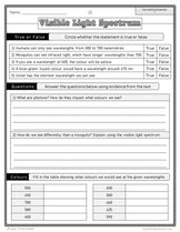 Science - Manitoba Grade 8 - FULL YEAR BUNDLE – Super Simple Sheets